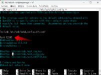 【2023年版】Raspberry Pi（ラズパイ）をSSH接続（パスワードと公開鍵）でリモートアクセスする方法 | My,WebNote – 備忘録